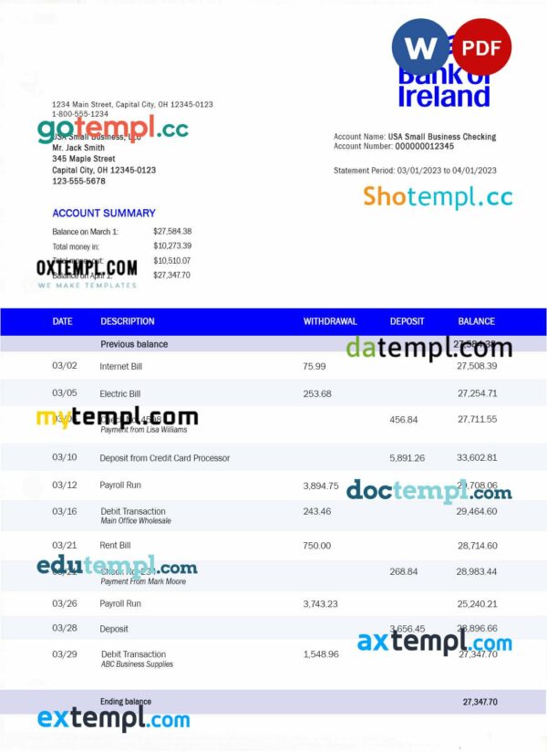Bank of Ireland enterprise statement Word and PDF template