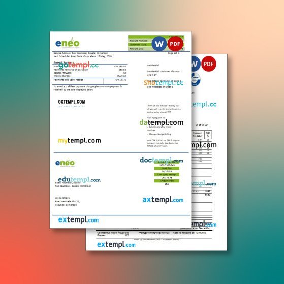 Cameroon utility bill 2 templates in one catalogue – with lower price