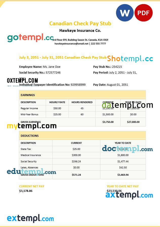 Canadian Chek pay stub Word and PDF template