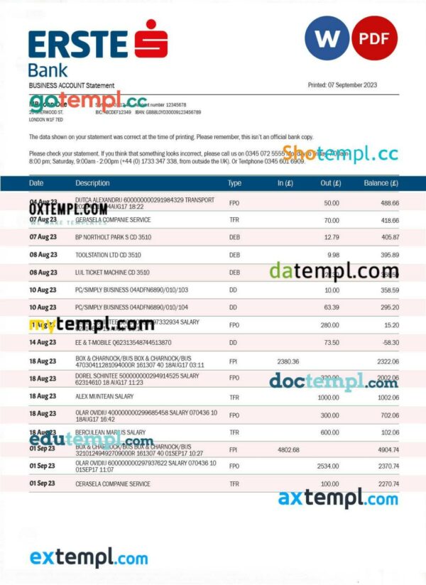 Erste bank firm checking account statement Word and PDF template