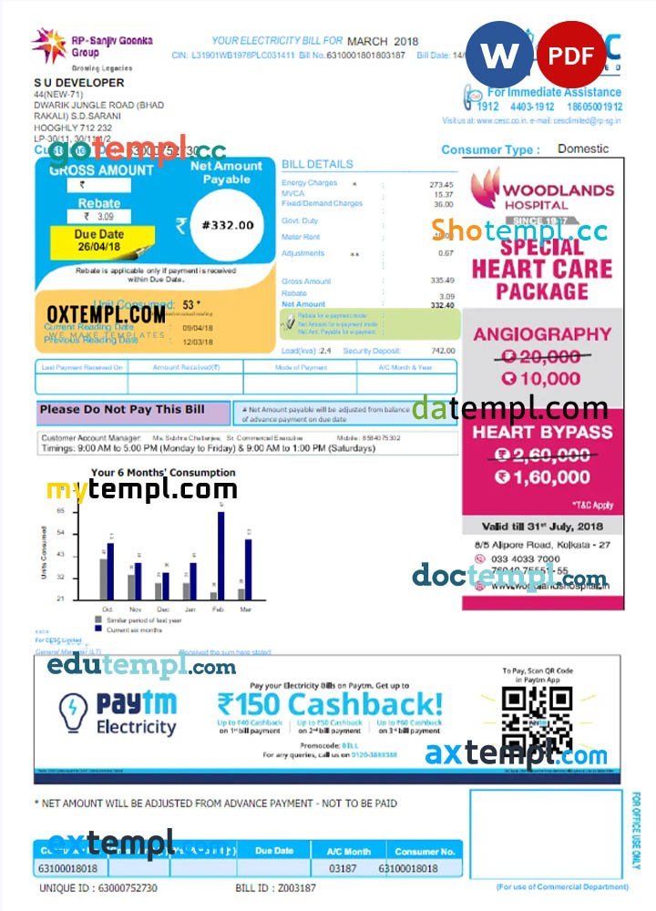 INDIA CESC LIMITED utility bill Word and PDF template