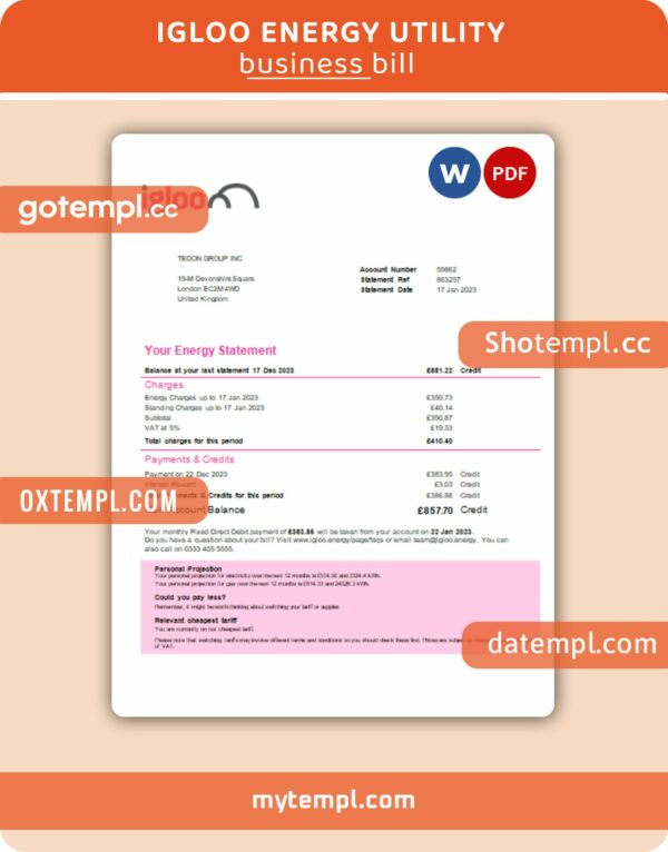 Igloo Energy business utility bill, Word and PDF template