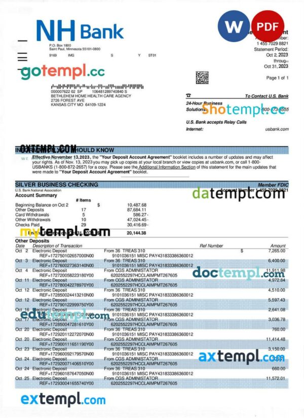 NH Bank firm account statement Word and PDF template