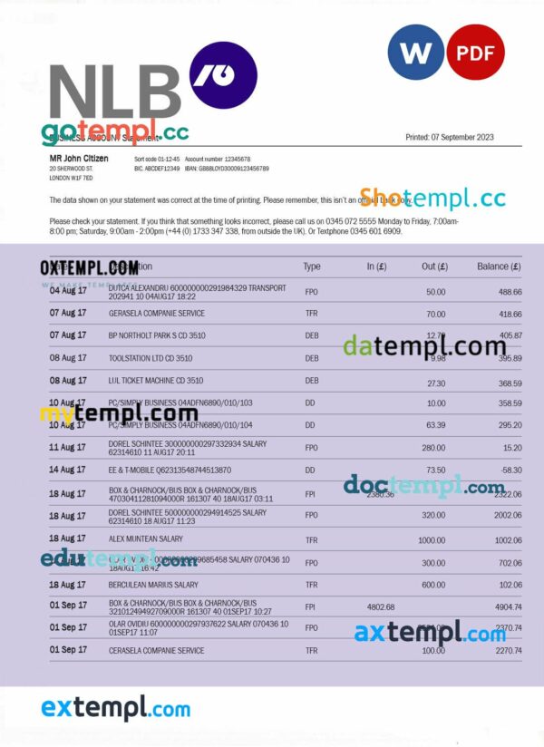 NLB Bank firm account statement Word and PDF template