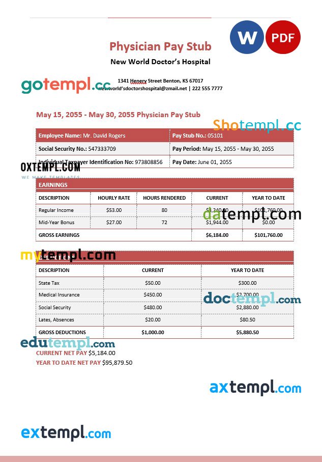 New World Doctor’s Hospital Physician Pay Stub template in PDF and Word ...