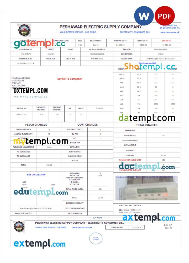 PAKISTAN PESHAWAR ELECTRIC SUPPLY COMPANY utility bill Word and PDF ...