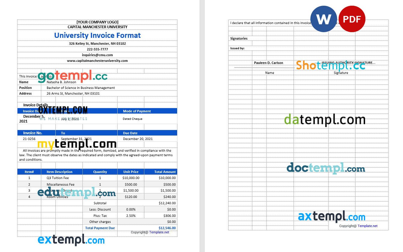 Sample University Invoice template in word and pdf format