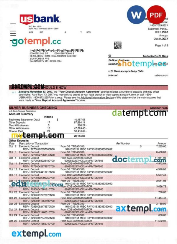 U.S. Bank organization account statement Word and PDF template