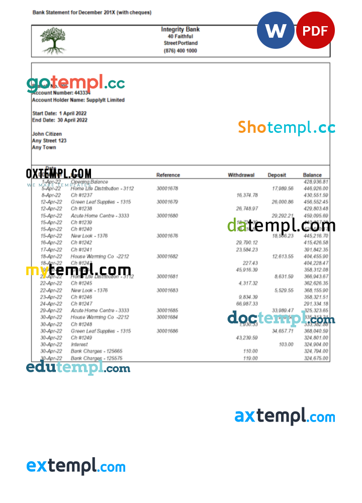 USA Integrity Bank statement Word and PDF template