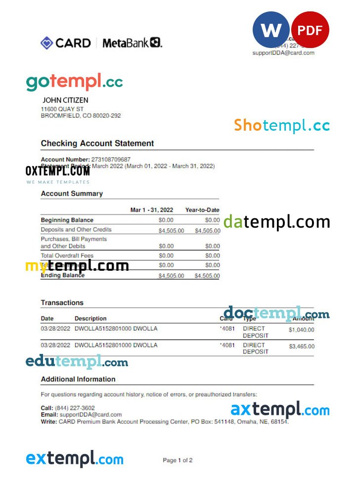 USA META BANK card statement Word and PDF template