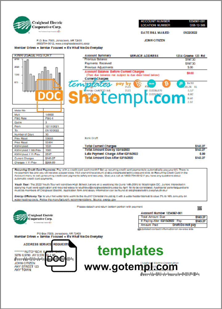 USA Craighead Electric utility bill template in Word and PDF format