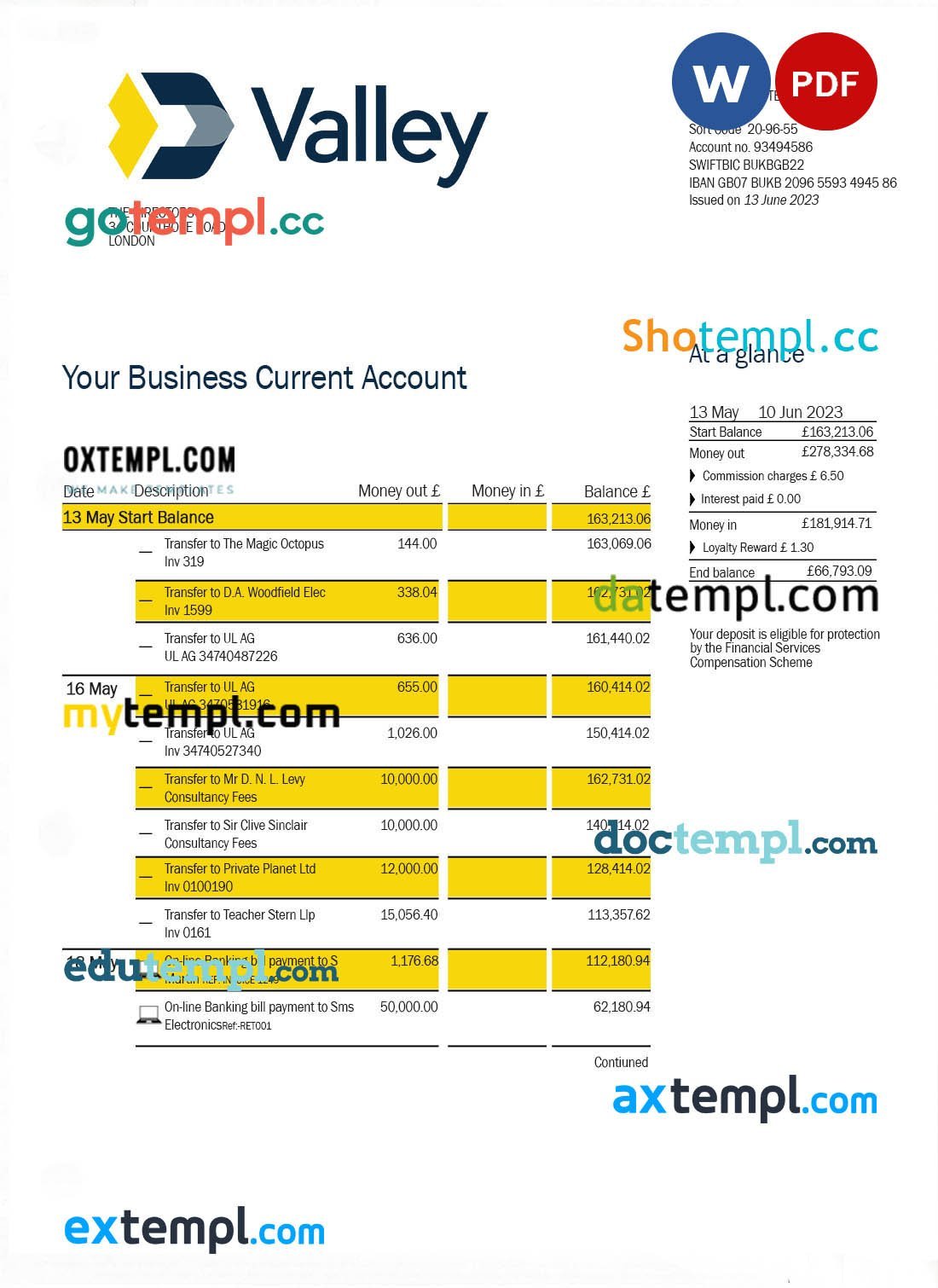 Valley National Bank business statement Word and PDF template