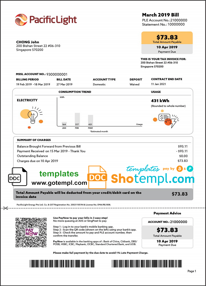 Singapore Pacific Light electricity utility bill template in Word and ...
