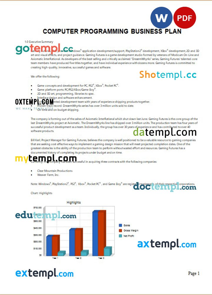 free computer programming business plan template in Word and PDF formats
