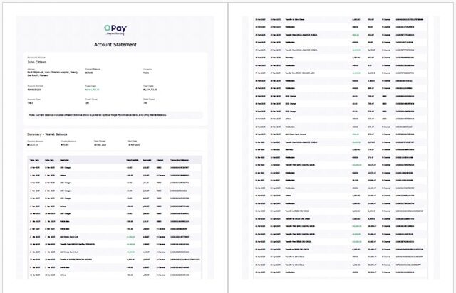 Nigeria Opay account statement Word and PDF template, 2 pages