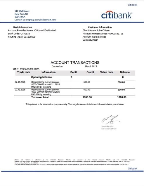 USA Citibank account statement Word and PDF template